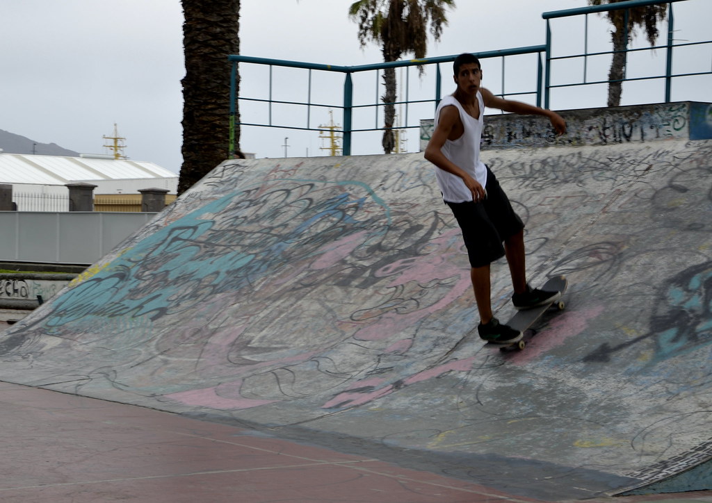 Skate 4: Everything You Need to Know About the Latest Installment - Evo ...